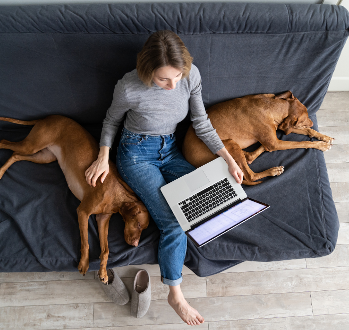 Neo-animalia - Se connecter